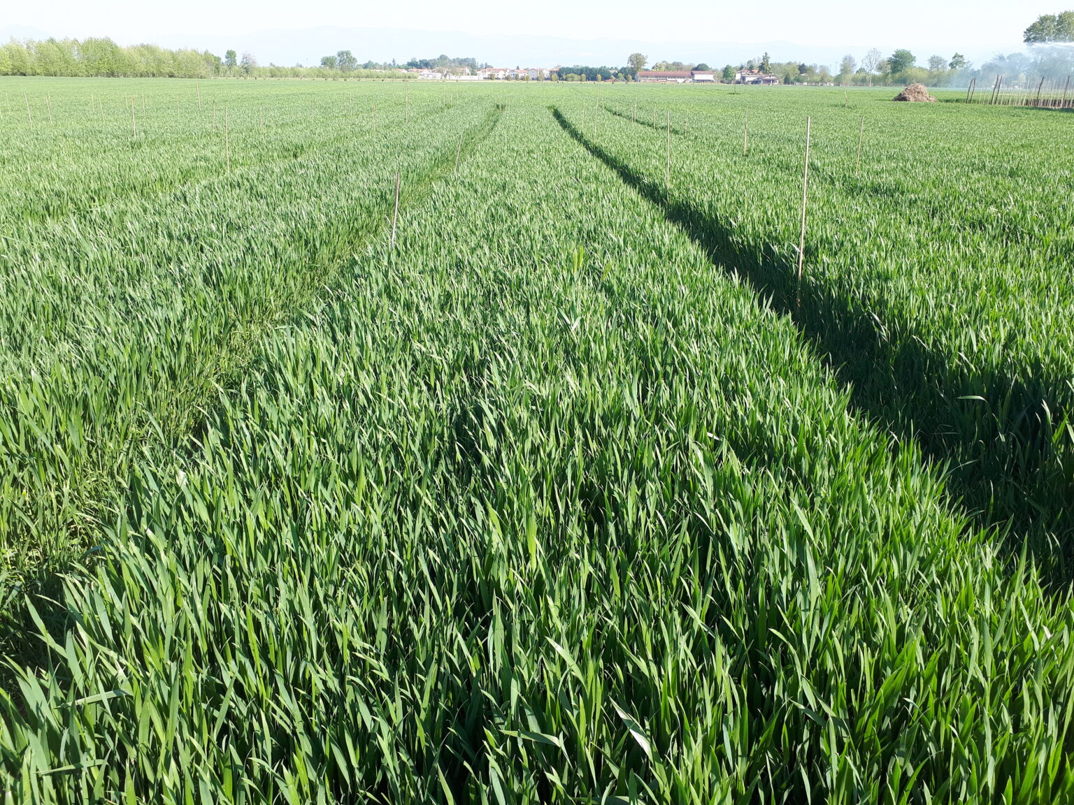 Our Style - Landlab, a research and development company.