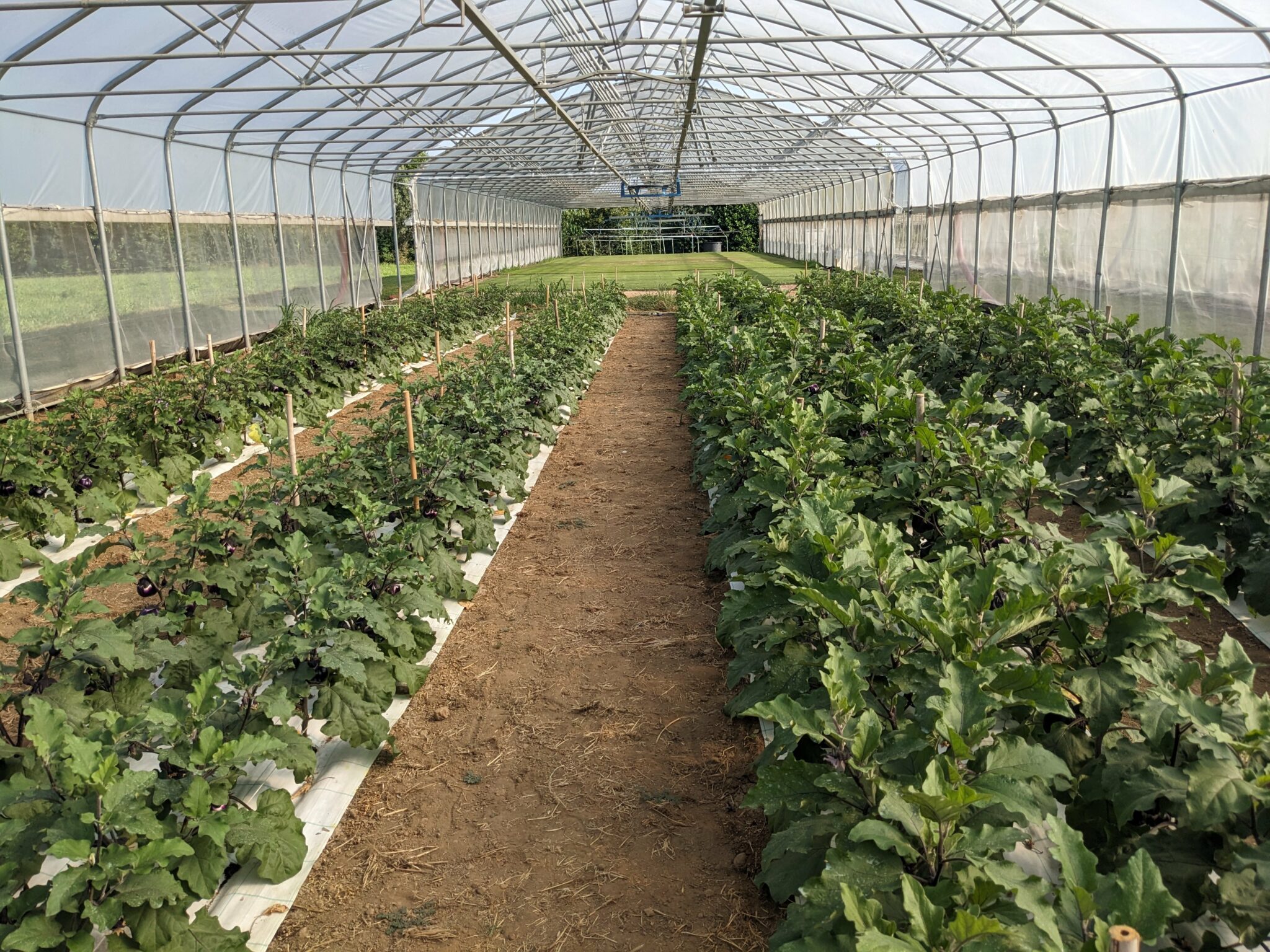 Our Style - Landlab, a research and development company.